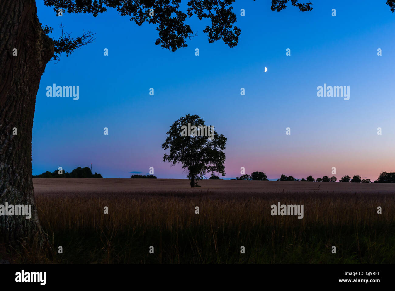 Moon night sky field hi-res stock photography and images - Alamy