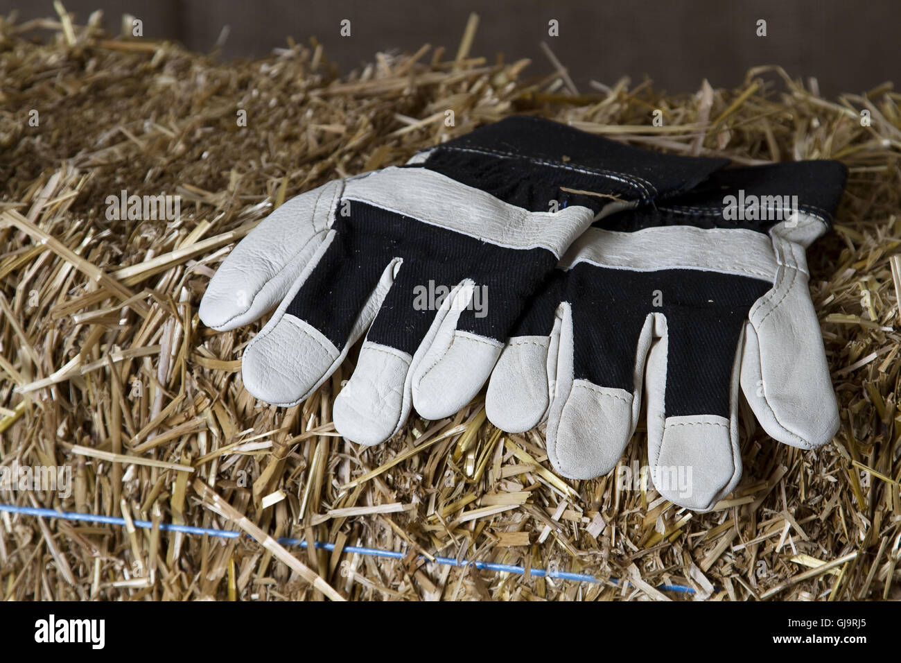Glove texture hi-res stock photography and images - Alamy