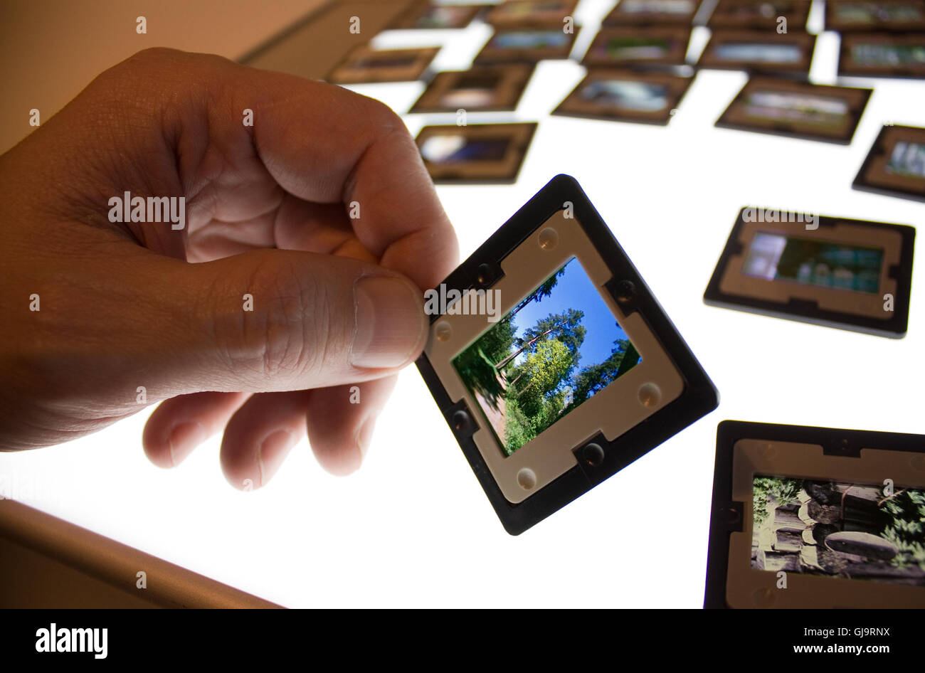 frame with slides Stock Photo - Alamy