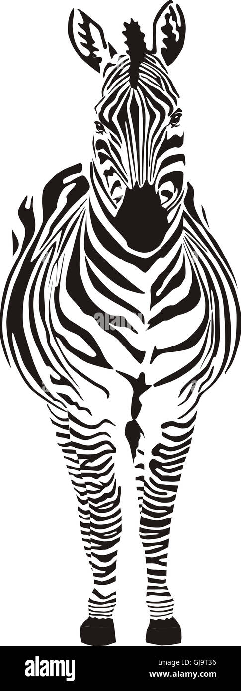 Zebra - black and zero Stock Photo - Alamy
