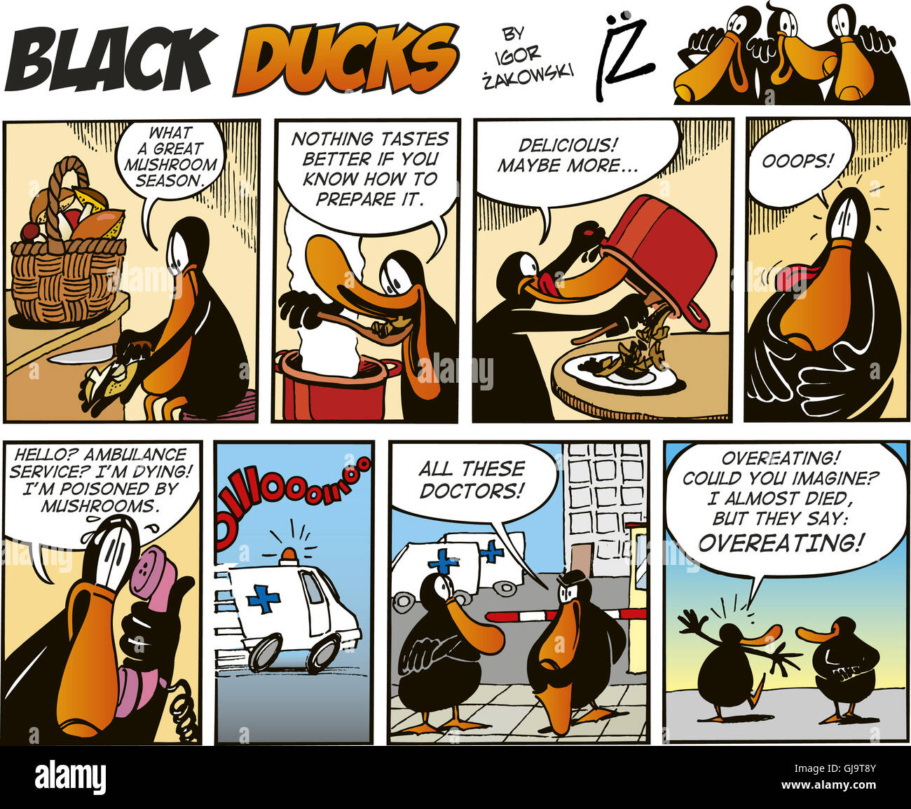 Sick duck hi-res stock photography and images - Alamy