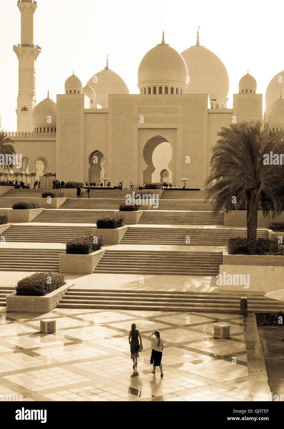 Shiekh zayed hi-res stock photography and images - Alamy