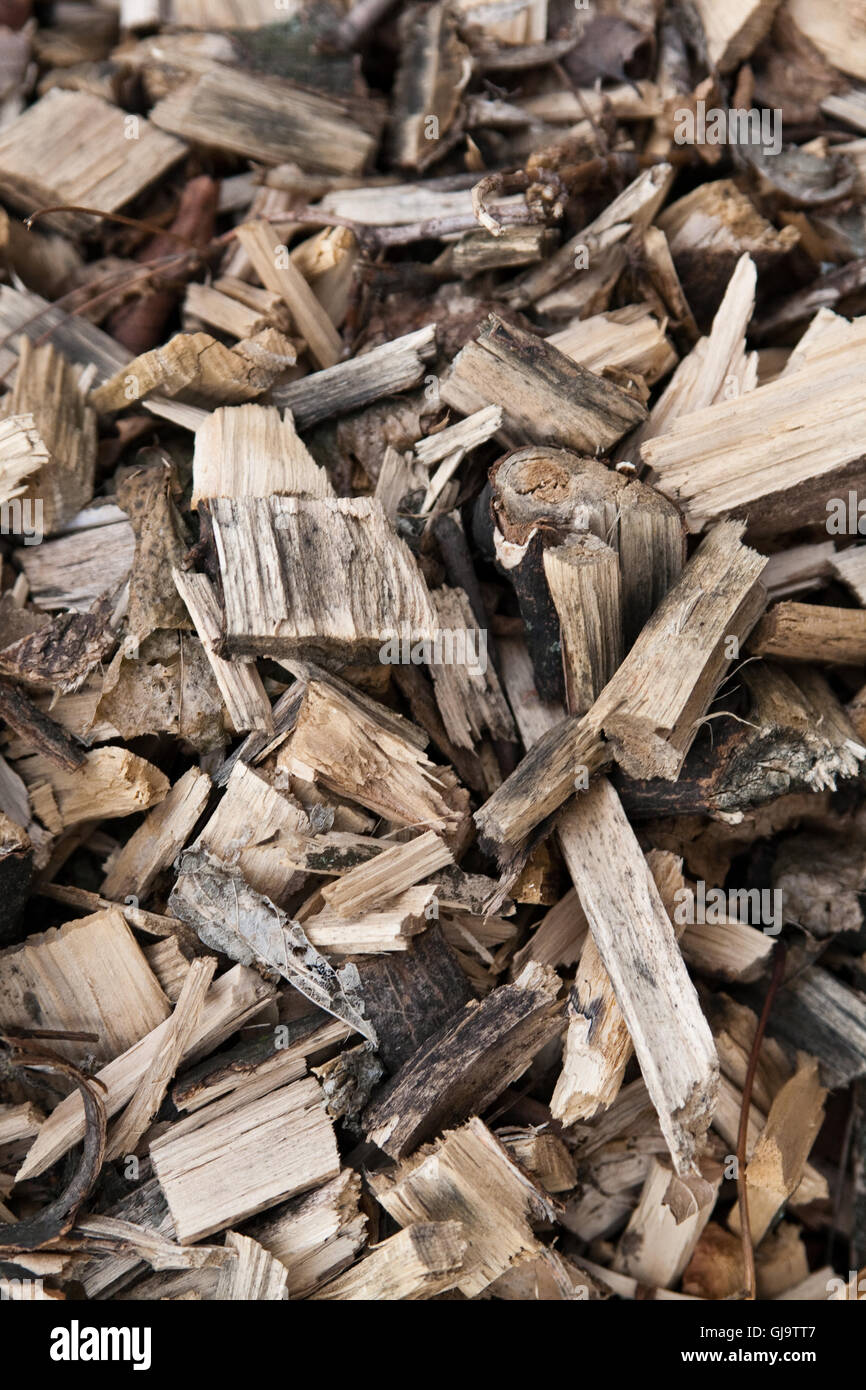 Lifeless wood chips Stock Photo - Alamy