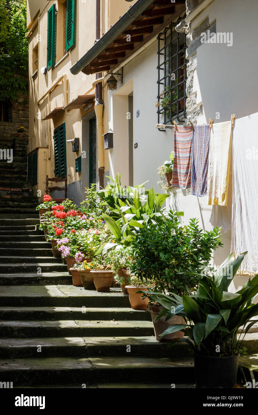 Pot plants on steps in town of Fiesole, Florence, Tuscany, Italy Stock ...