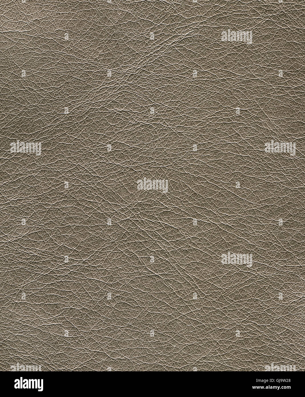 texture of skin Stock Photo - Alamy