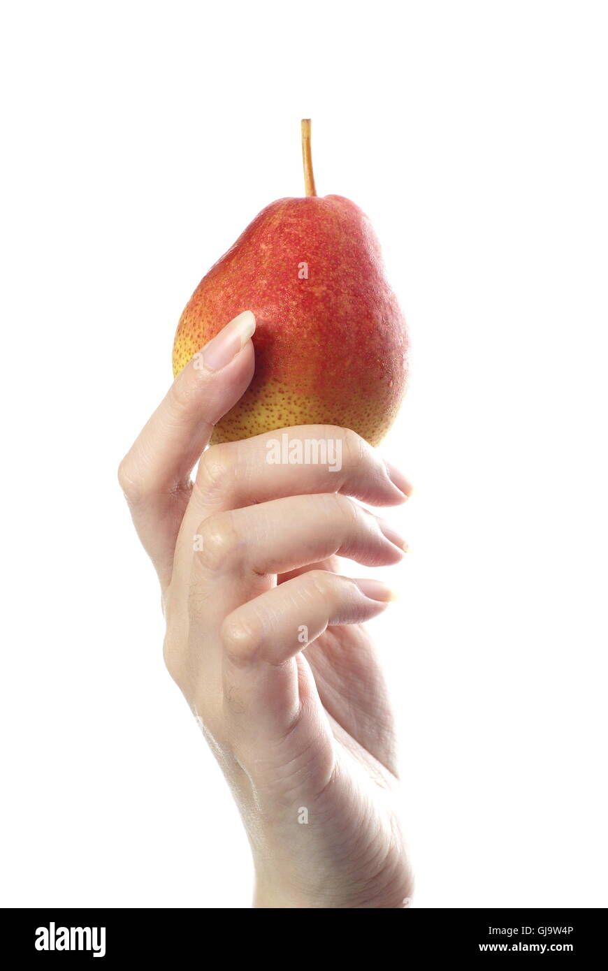 Red blush pear in female hand with white background Stock Photo - Alamy