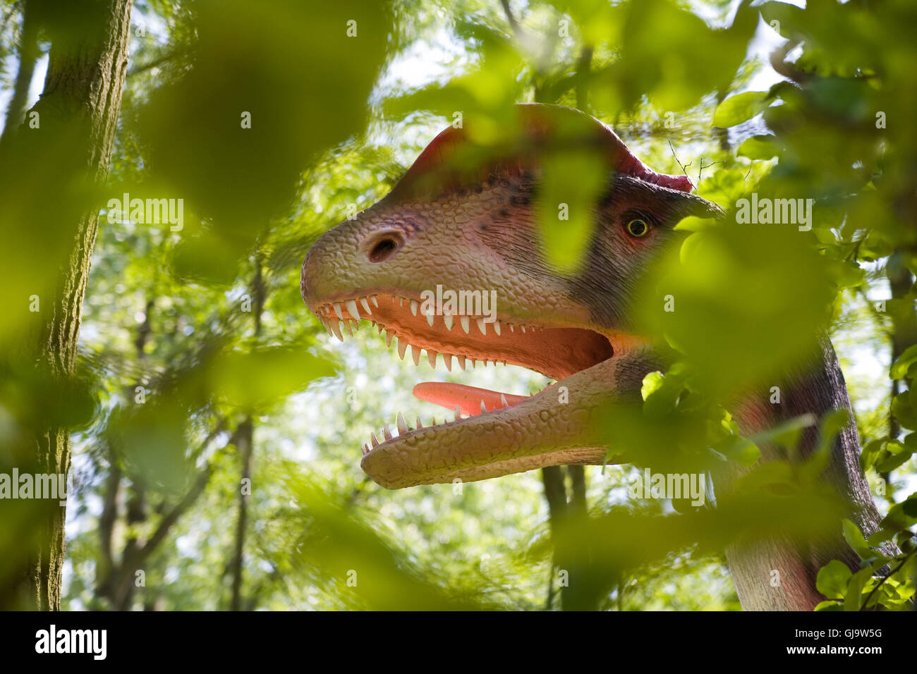 Wetherilli hi-res stock photography and images - Alamy