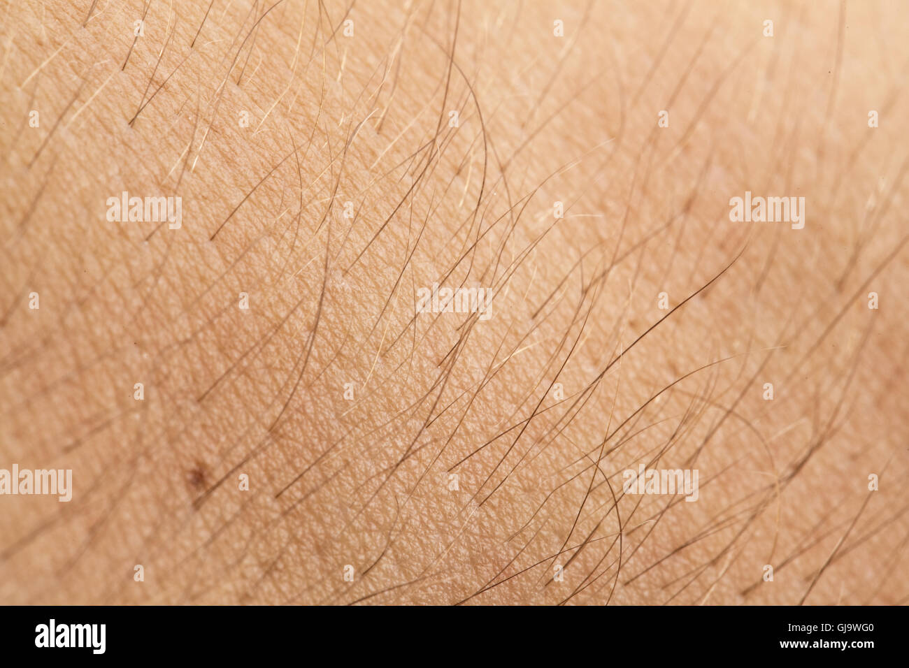 Male Skin closeup Stock Photo - Alamy