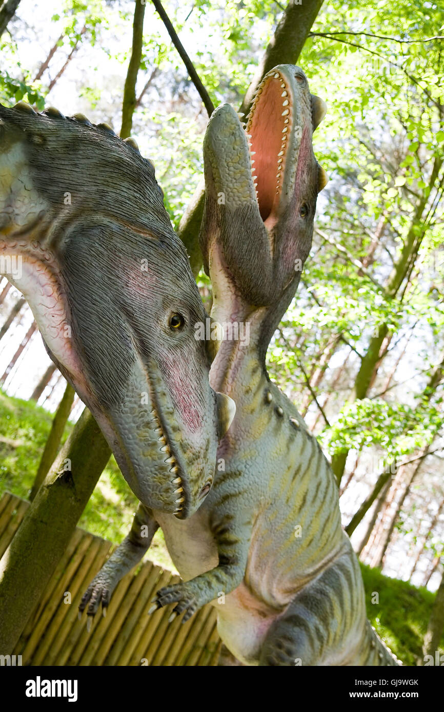 Dinosaur ceratosaurus hi-res stock photography and images - Alamy