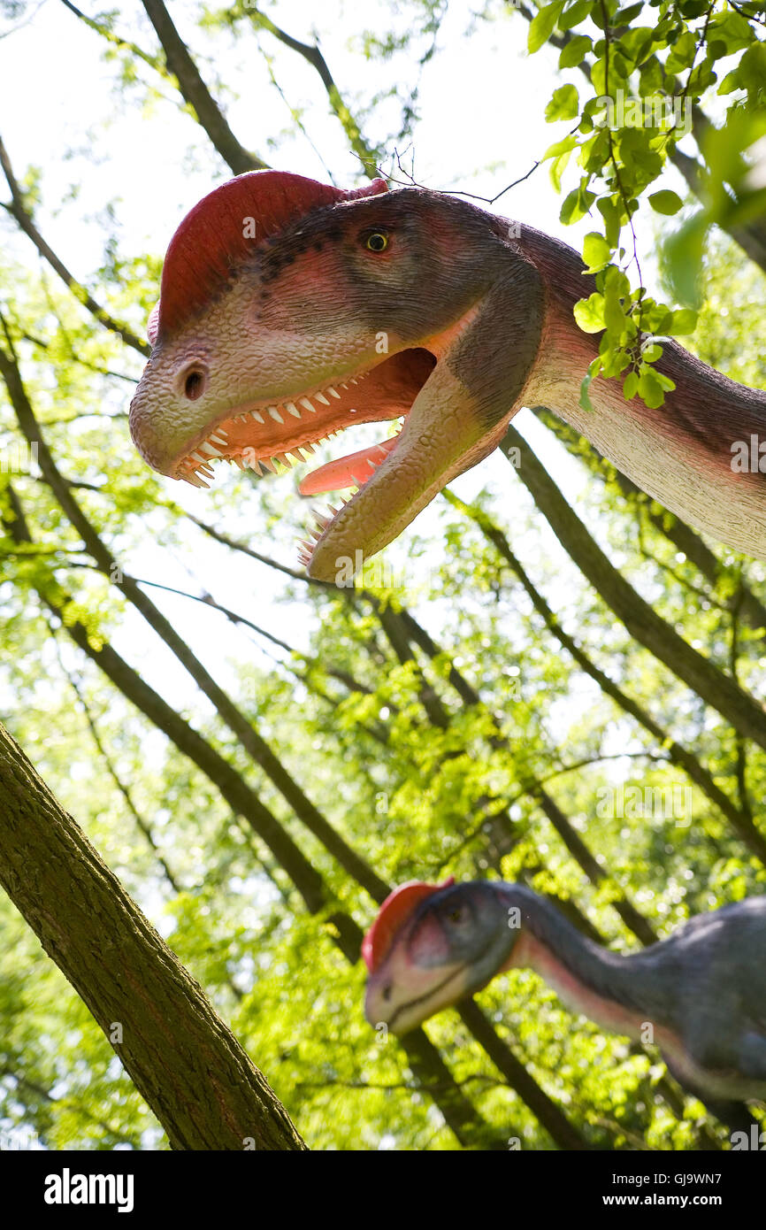 Wetherilli hi-res stock photography and images - Alamy