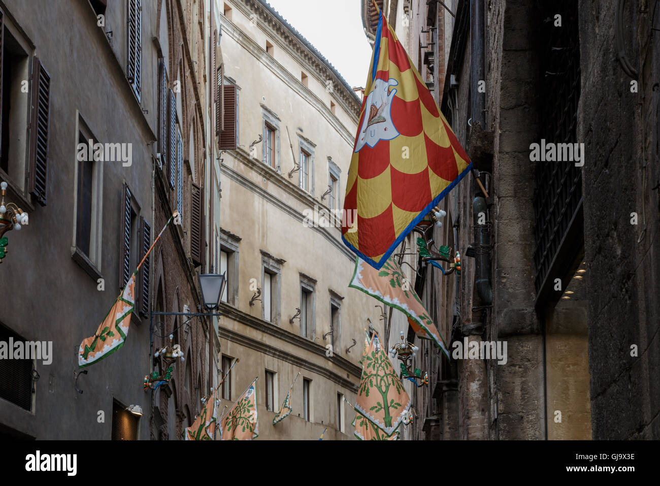 The flags of the Contrade, lining the streets in Siena, Tuscany, Italy ...