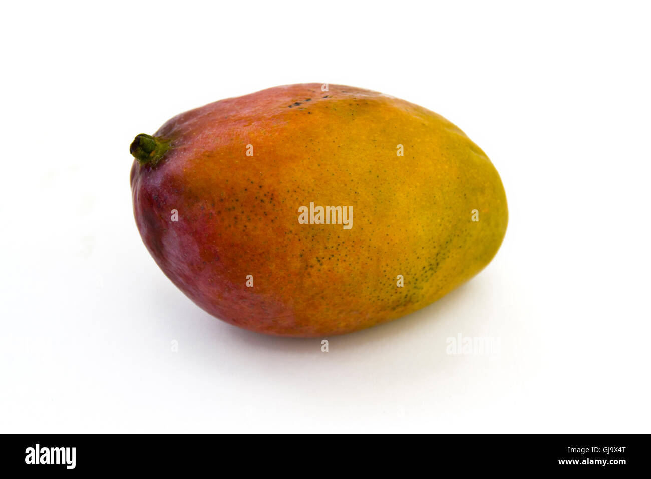 mango on white background Stock Photo - Alamy