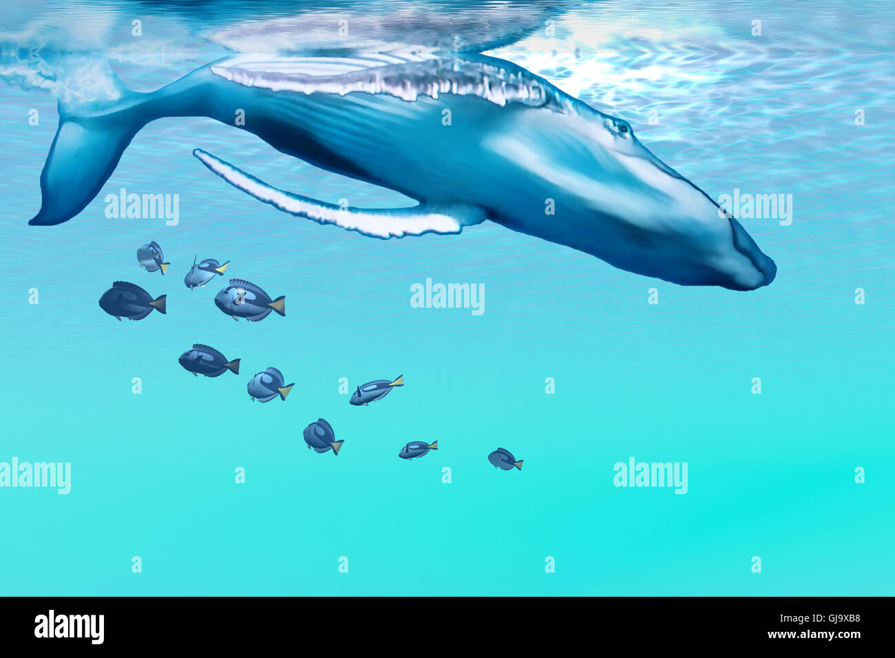 Blue whale challenge hi-res stock photography and images - Alamy