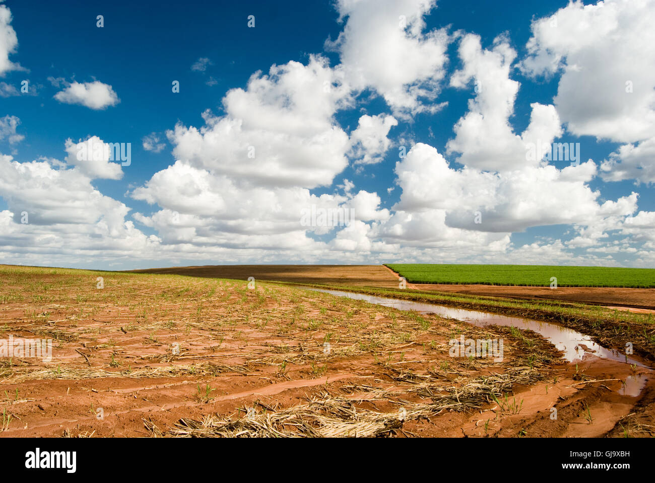 Agriculture land degradation hi-res stock photography and images - Alamy