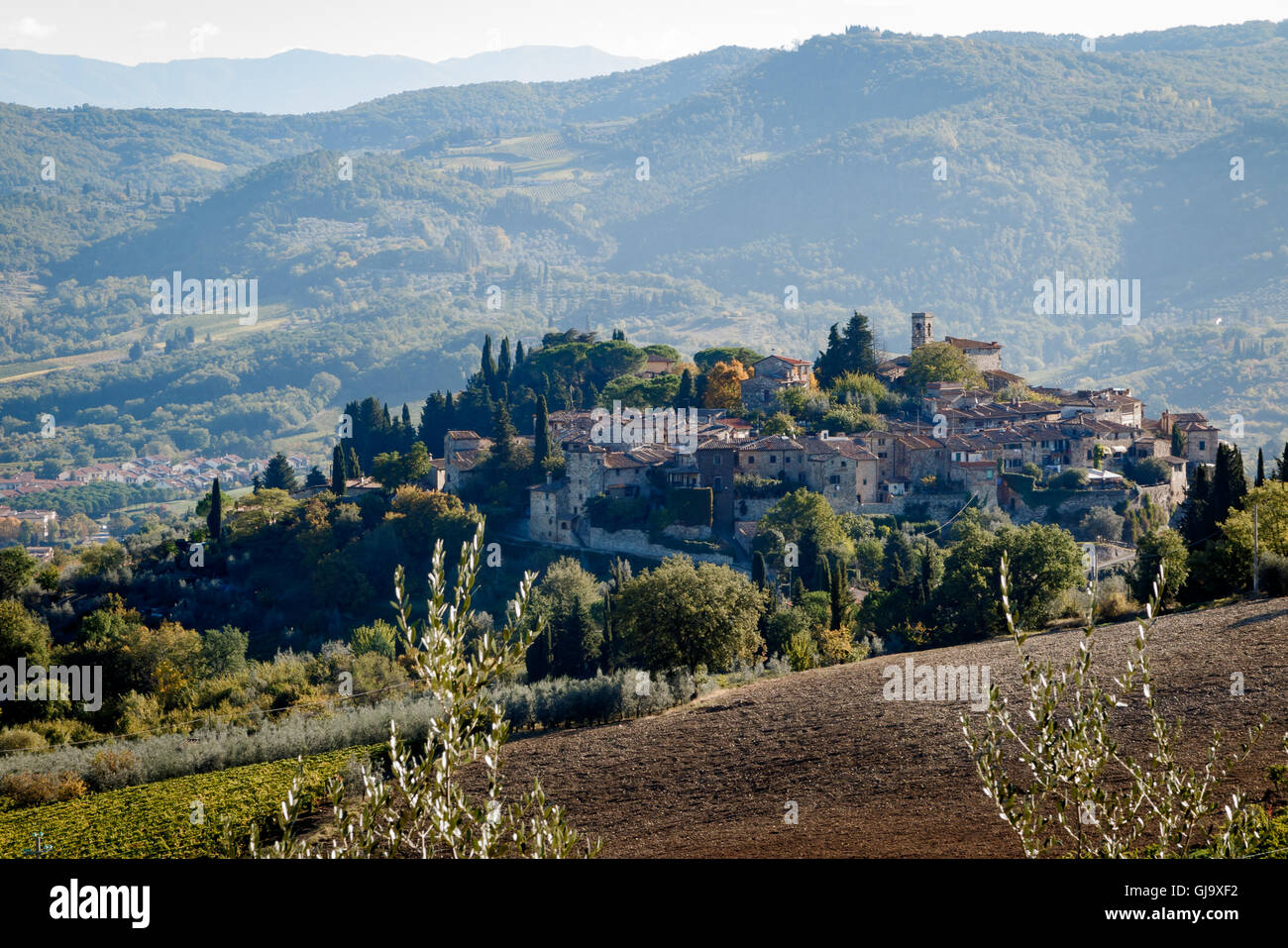 Volpaia hi-res stock photography and images - Alamy
