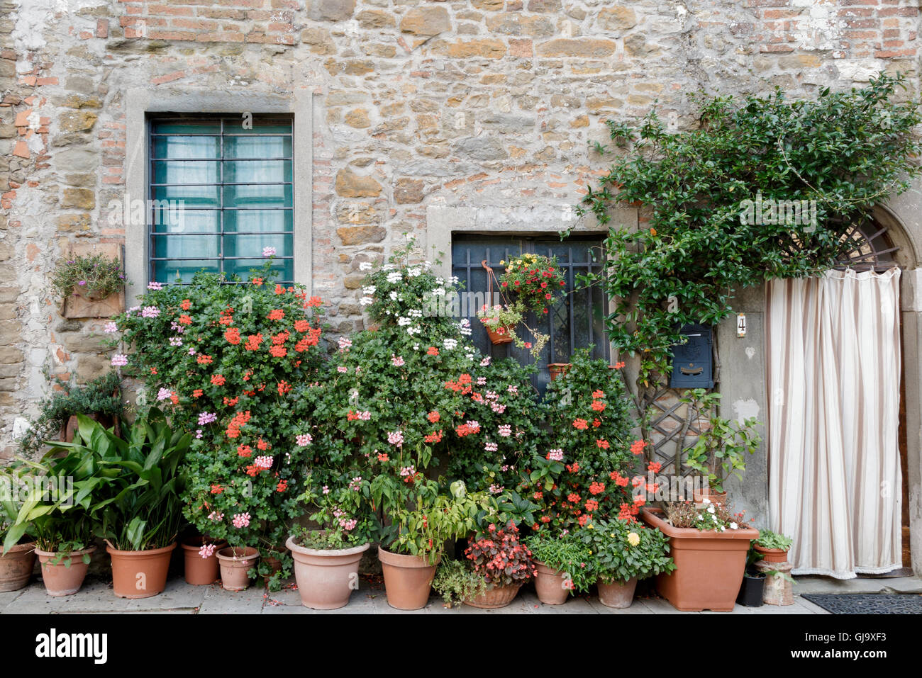 Volpaia, Tuscany, Italy. Outdoor pot plants with geraniums Stock Photo ...