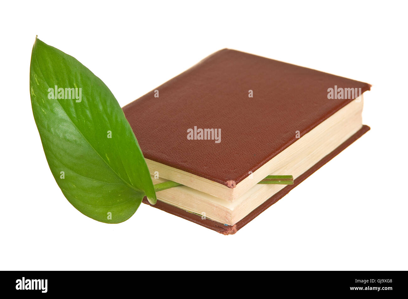 book with a green leaf Stock Photo - Alamy