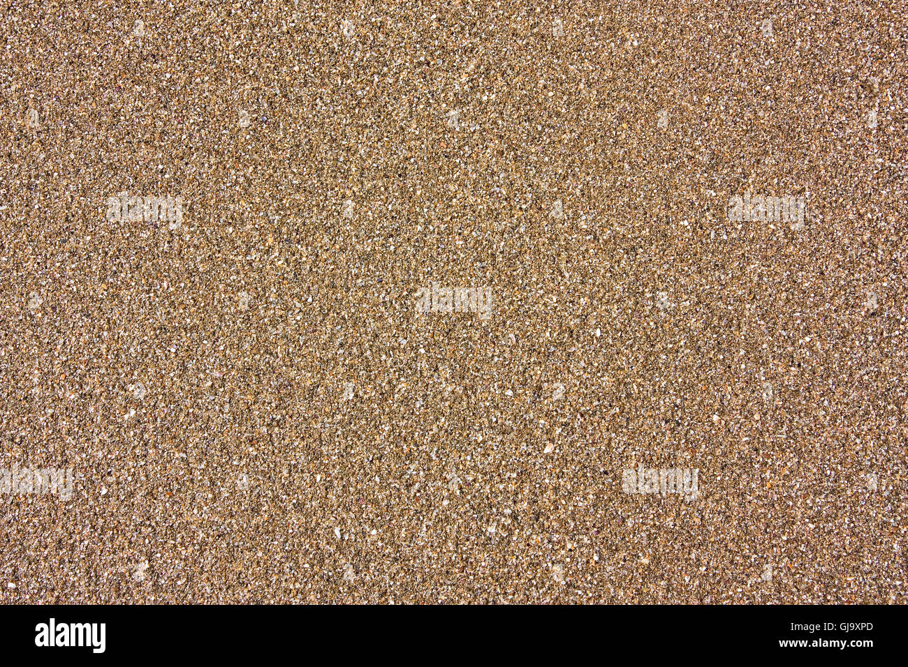 texture of the wet sand Stock Photo - Alamy