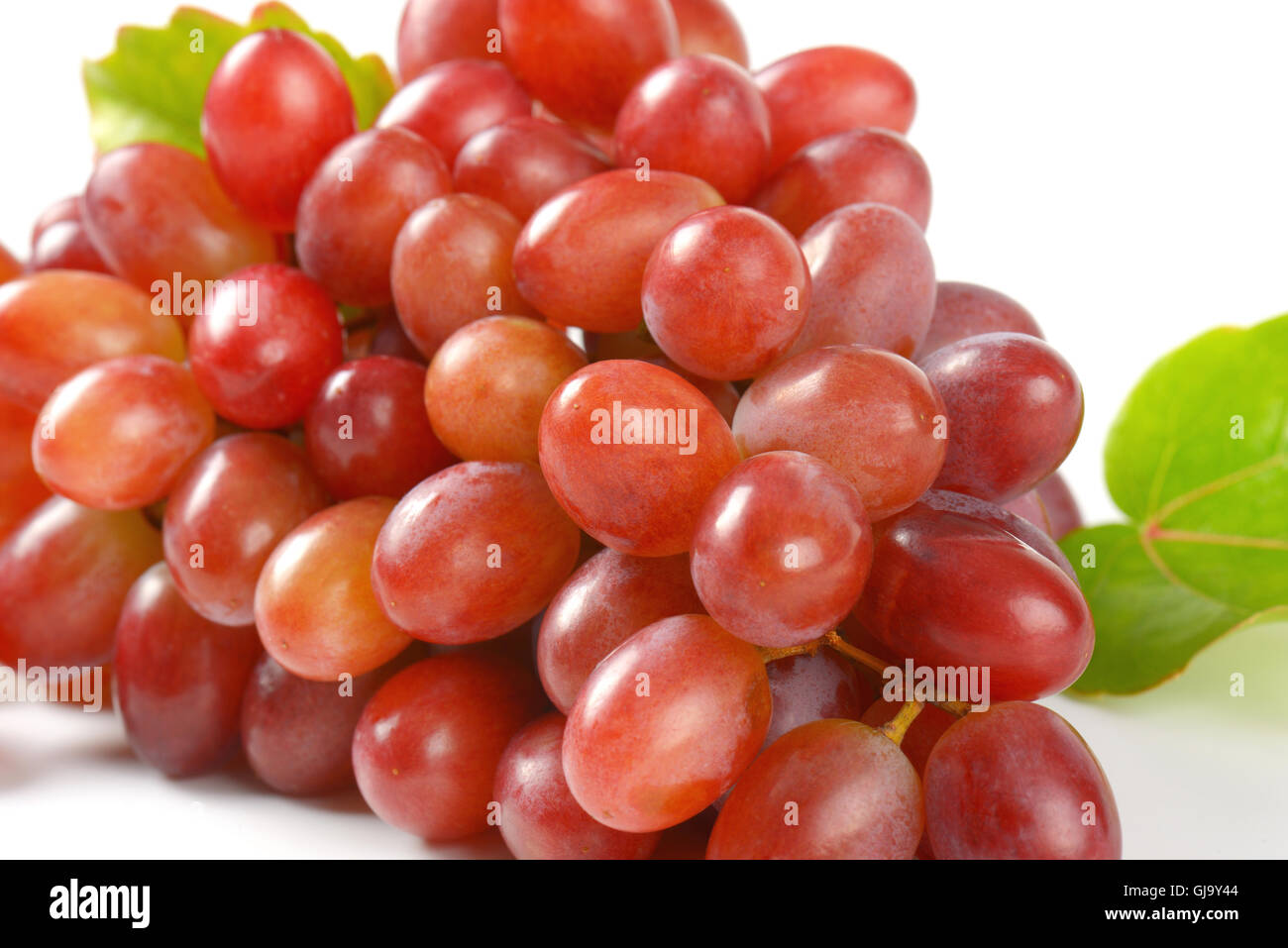 detail of bunch of ripe red grapes Stock Photo - Alamy
