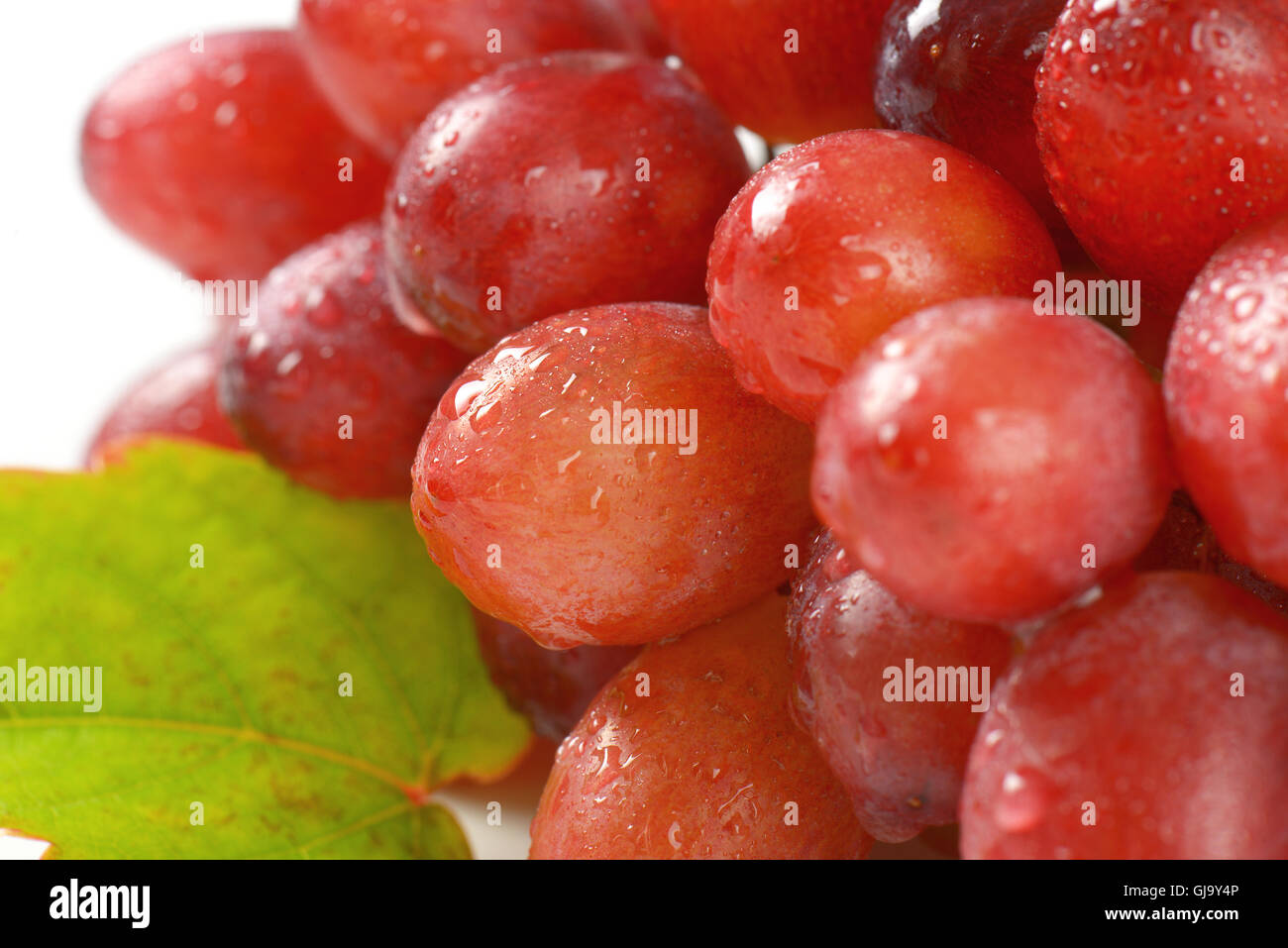 detail of bunch of washed red grapes Stock Photo - Alamy