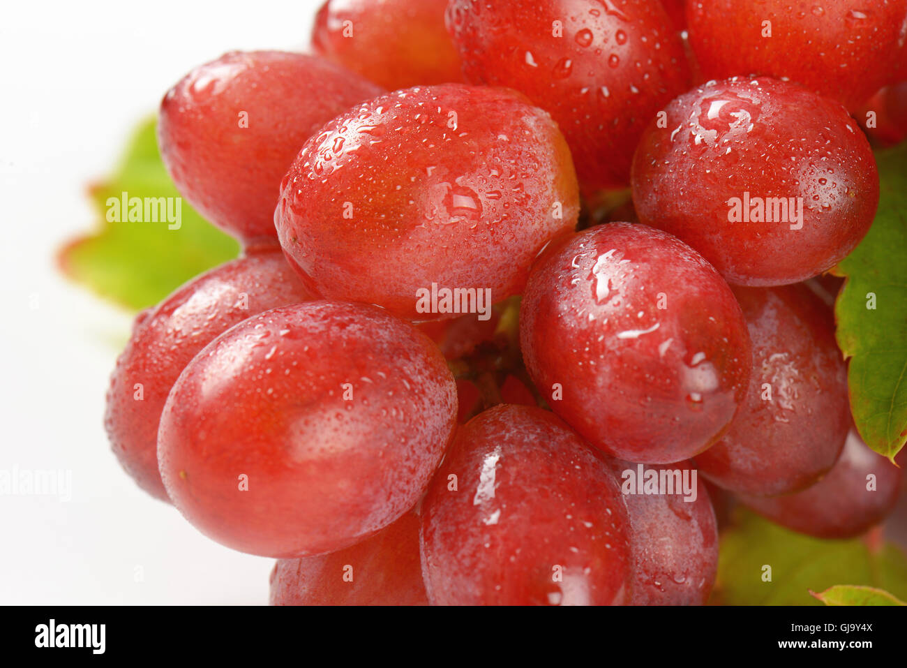detail of bunch of washed red grapes Stock Photo - Alamy