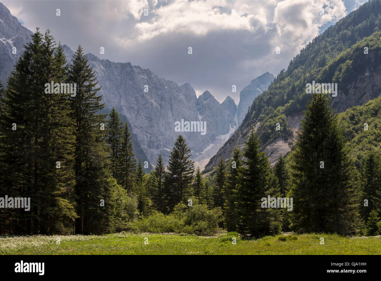 Planica valley hi-res stock photography and images - Alamy