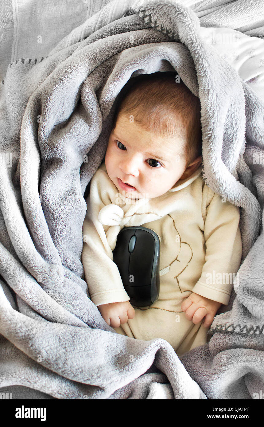 Baby mouse hi-res stock photography and images - Alamy