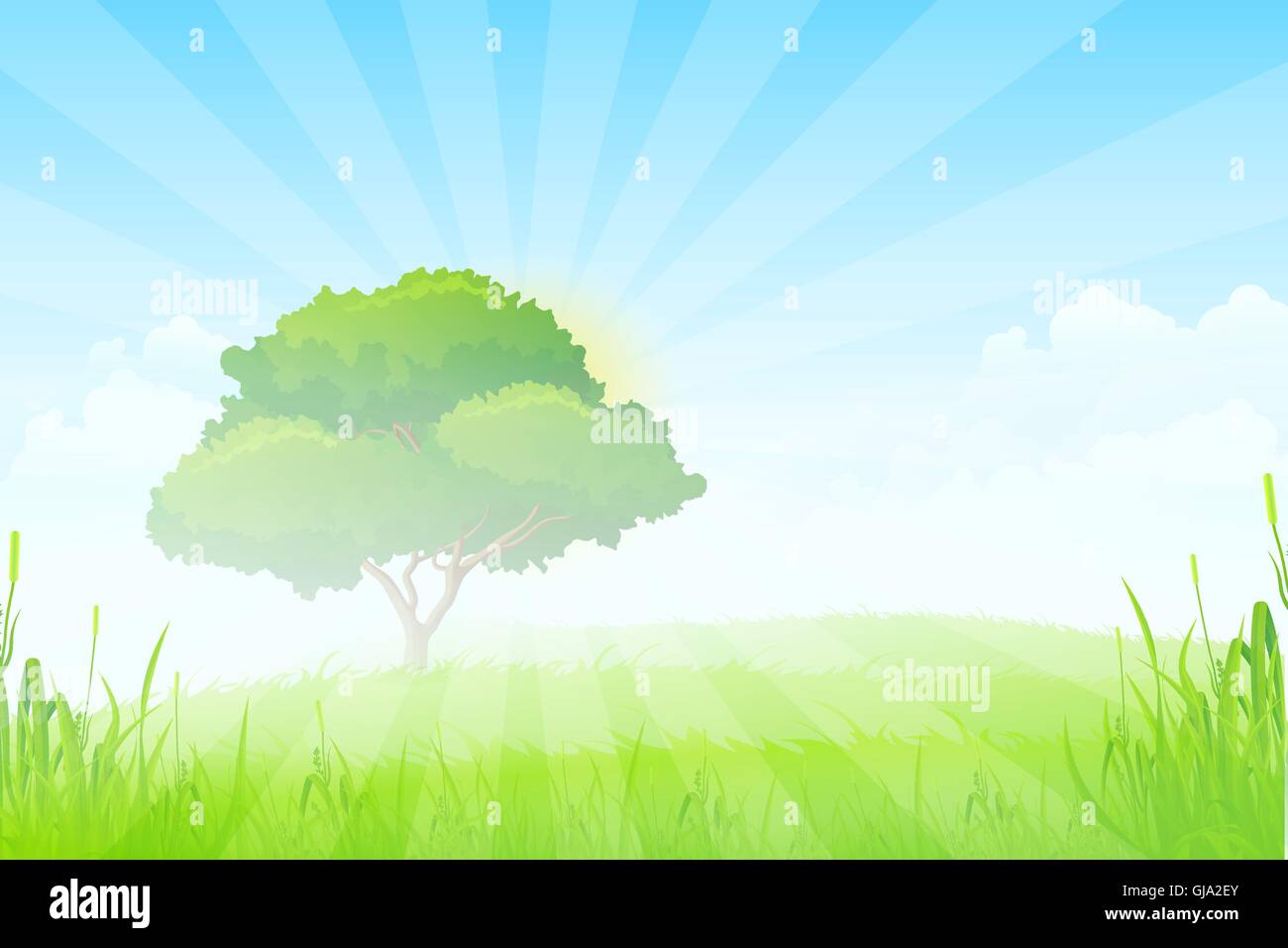 Green Landscape with Tree Stock Vector Image & Art - Alamy