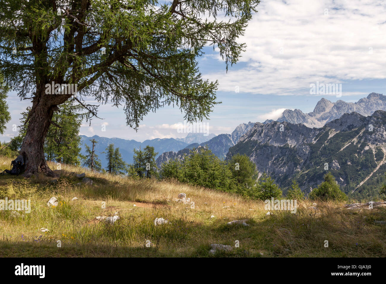 On the Sleme, Slovenia Stock Photo - Alamy