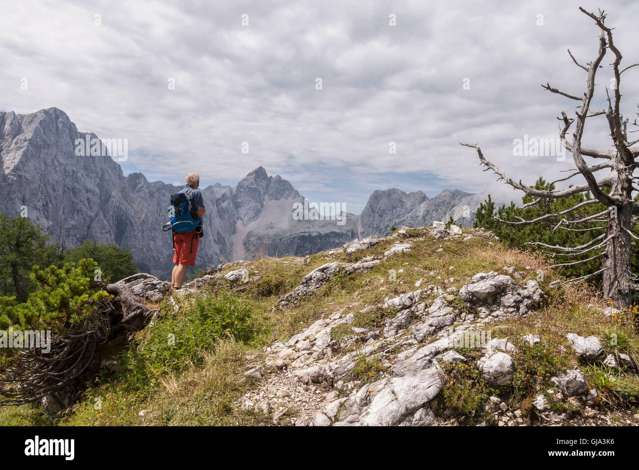 Slemenova hi-res stock photography and images - Alamy