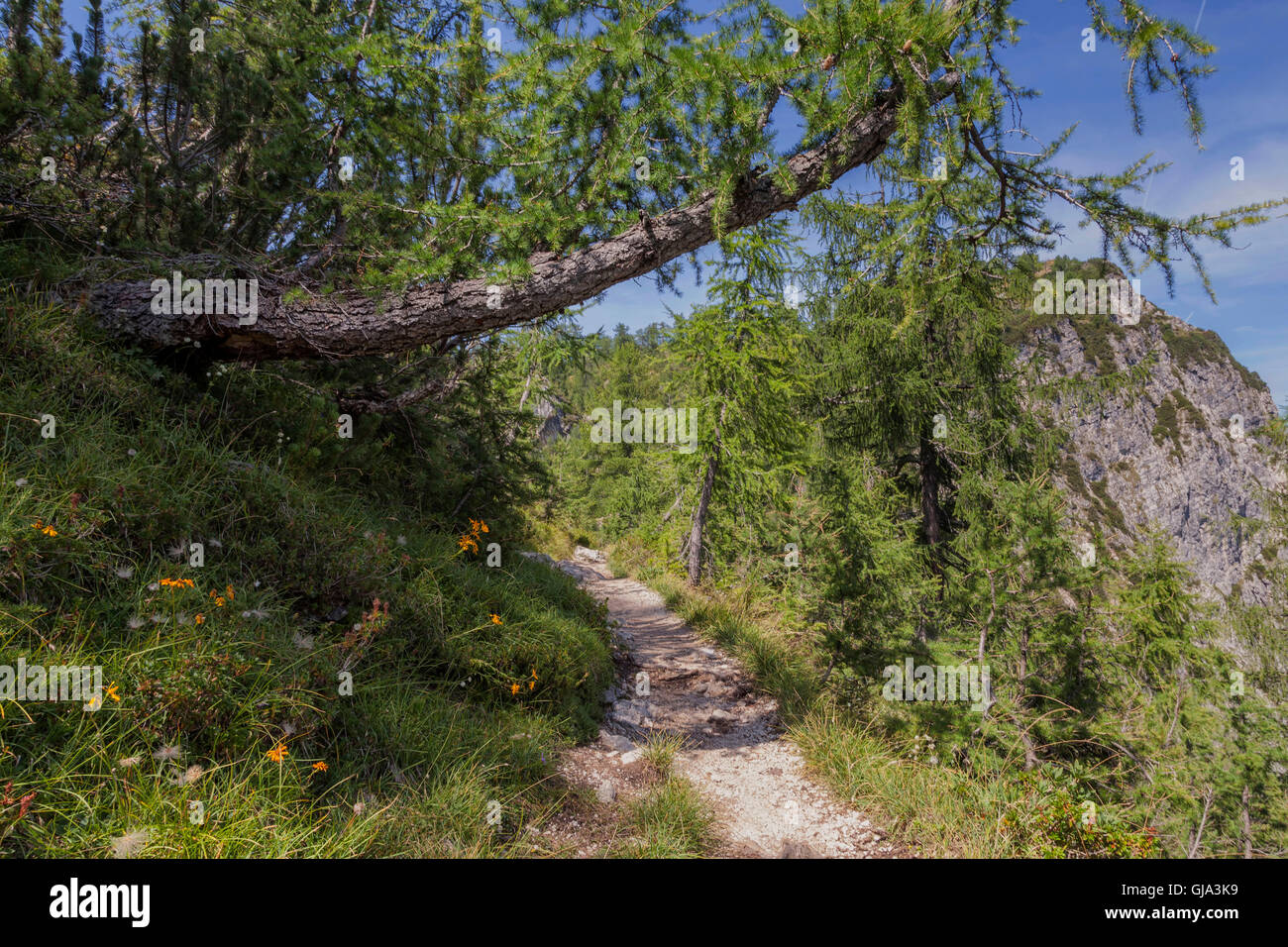 On the Sleme, Slovenia Stock Photo - Alamy