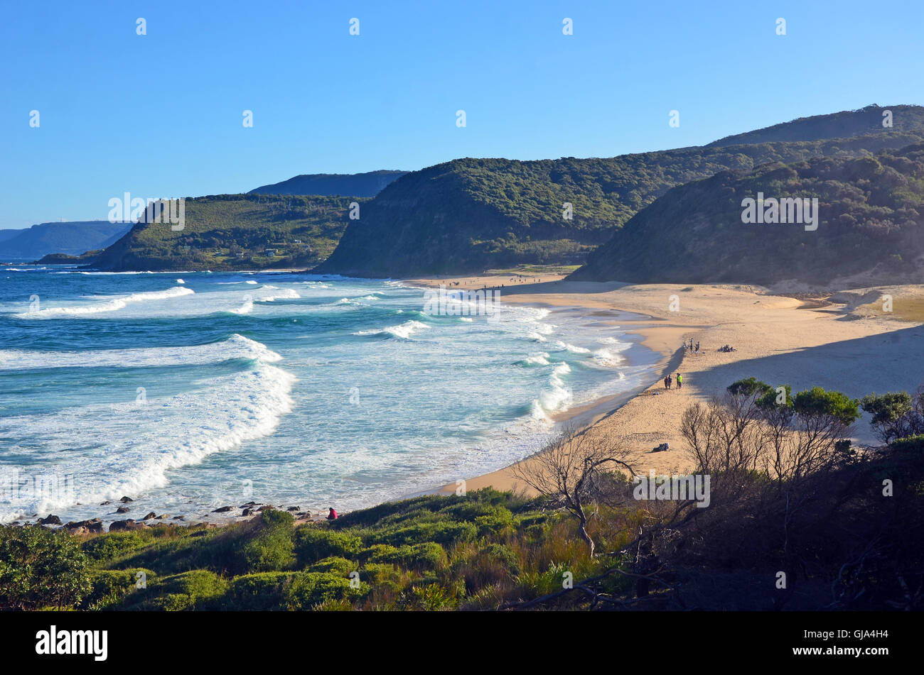 Cliffs and vegetation surrounding Garie beach on the New South Wales ...