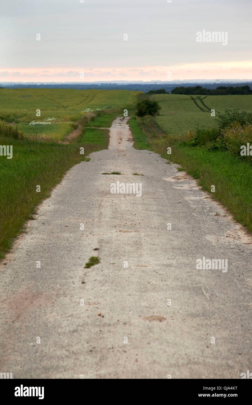 Asphalt, way, horizon, evening Stock Photo - Alamy