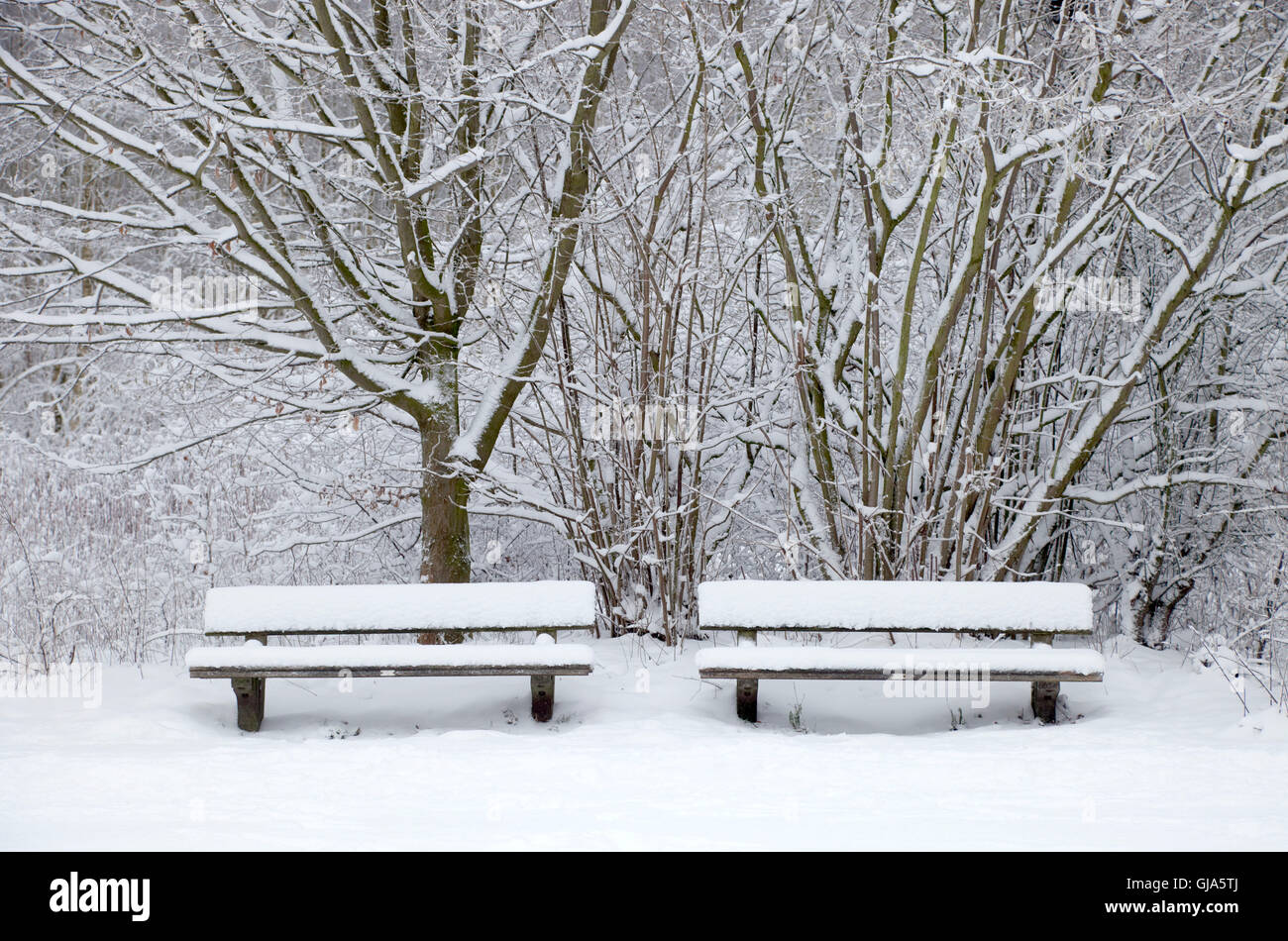 Winter, bench, seat, snow Stock Photo - Alamy
