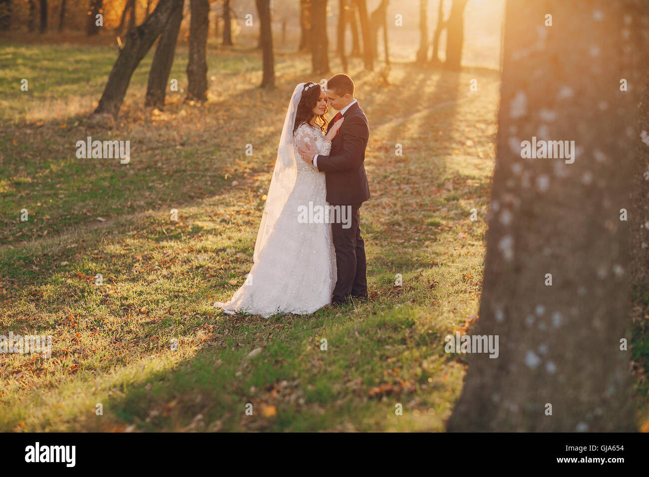 wonderful wedding day Stock Photo - Alamy