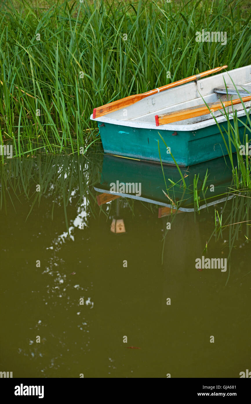 Rowing boat, lake, shore, lakeside, reed Stock Photo - Alamy