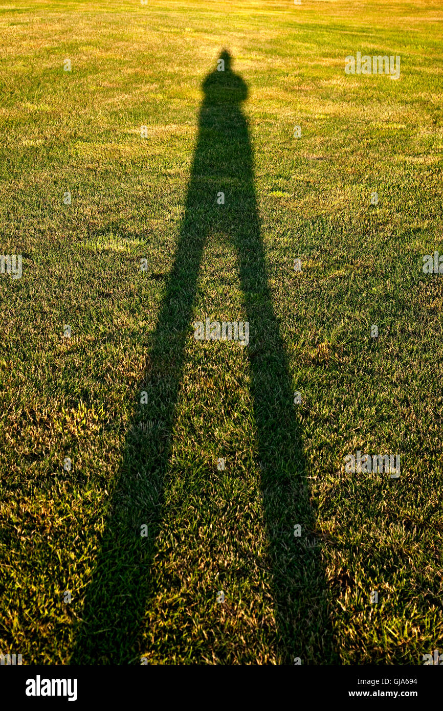 Lawn, shadow, silhouette, summer Stock Photo - Alamy