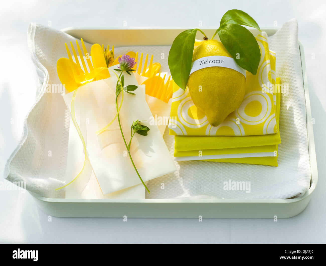 Welcome, lemon, picnic cutlery and napkins, white tablet Stock Photo ...