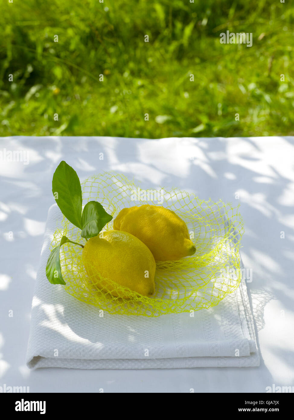 organic lemons in the net Stock Photo - Alamy