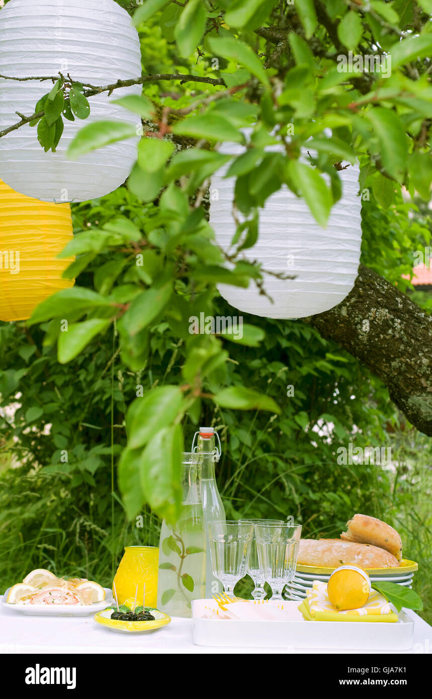 Garden, lemon buffet with lampions Stock Photo - Alamy