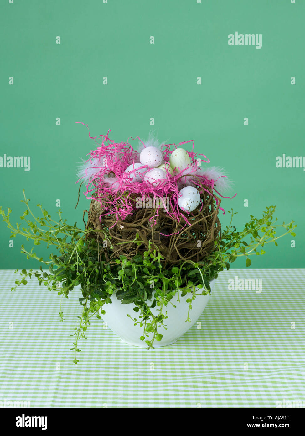 Easter basket, roots, potted plant Stock Photo - Alamy