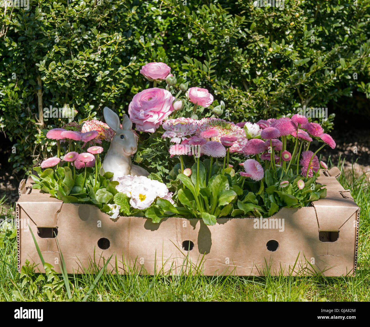 Porcelain rabbit in flower box Stock Photo - Alamy