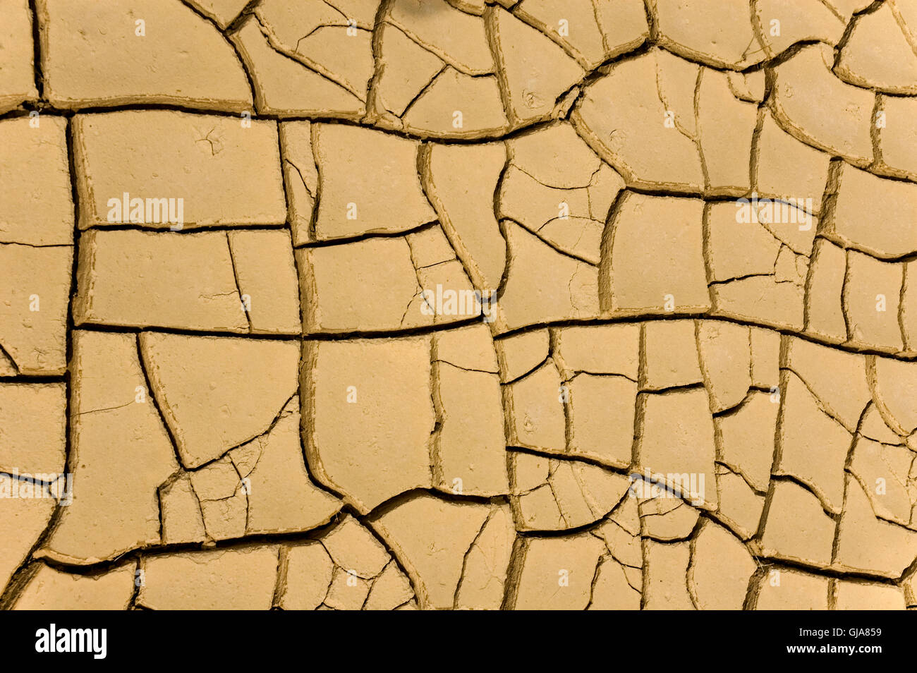 Dry cracked earth in hi-res stock photography and images - Alamy