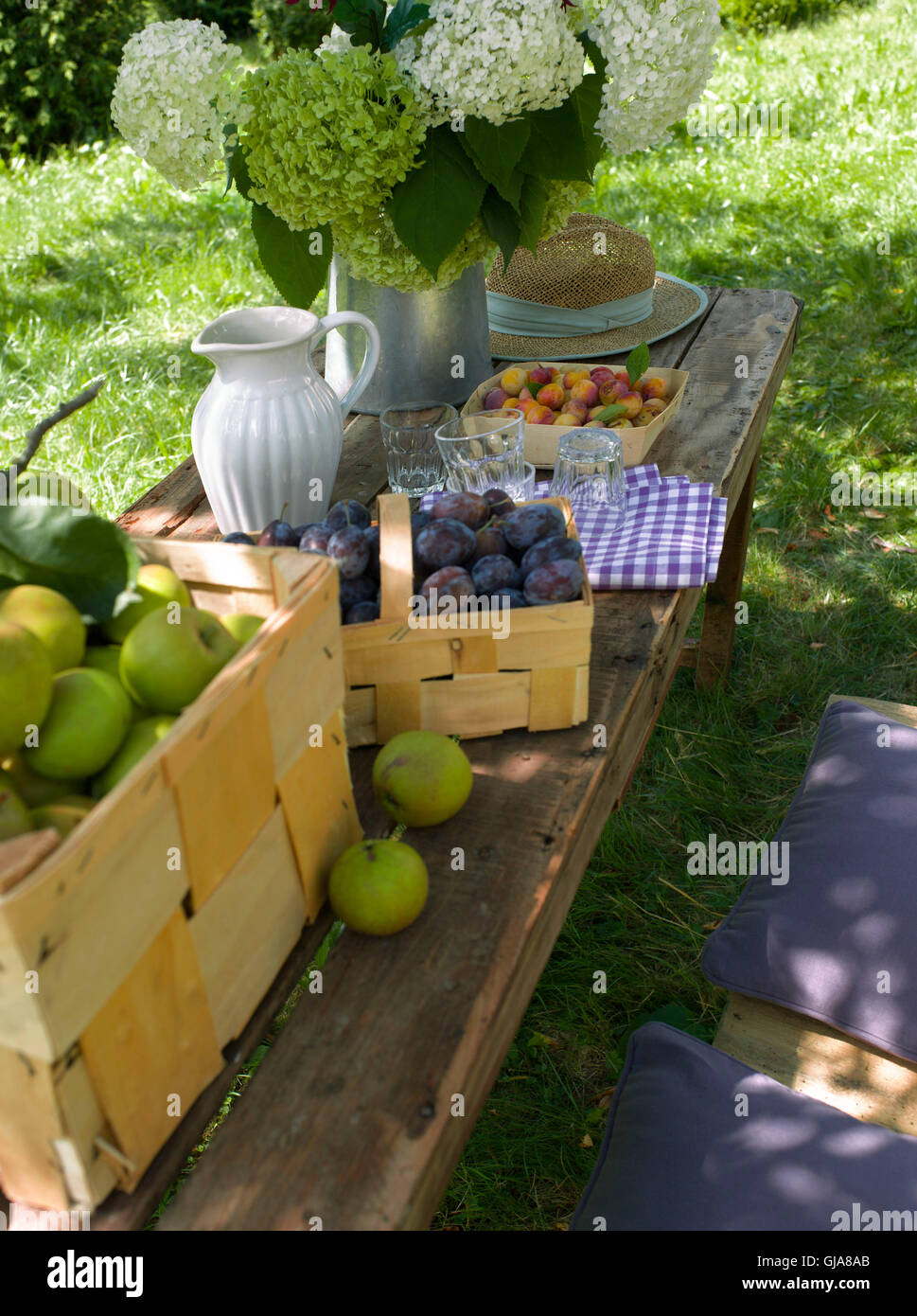 Fruit harvest, garden table, fruits, hydrangeas Stock Photo - Alamy