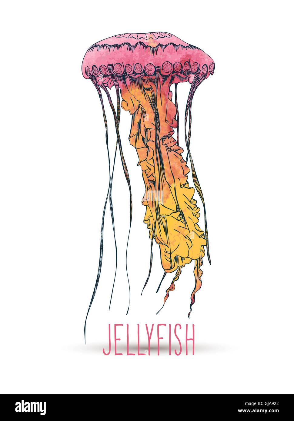 Hand drawn jellyfish. Vector illustration Stock Vector Image & Art - Alamy