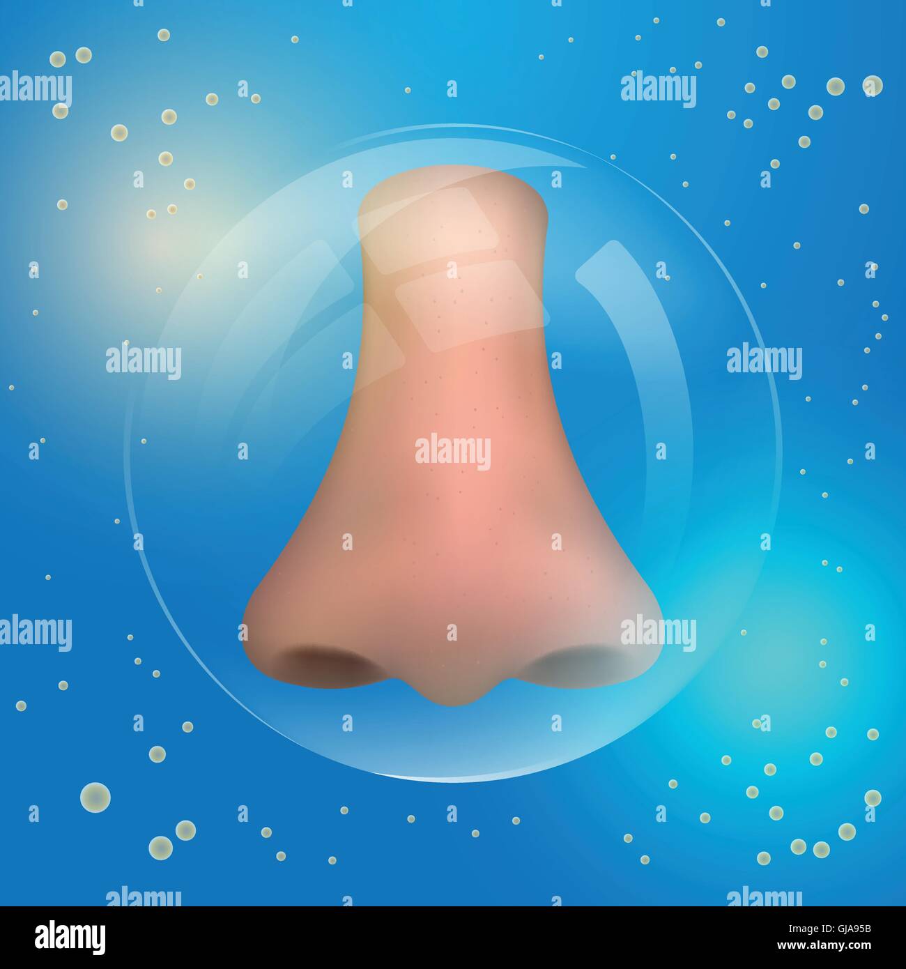 Realistic vector nose in safe bubble Stock Vector Image & Art - Alamy