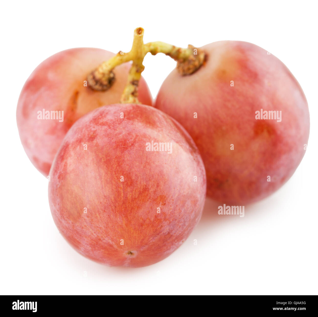 Pink grapes hi-res stock photography and images - Alamy