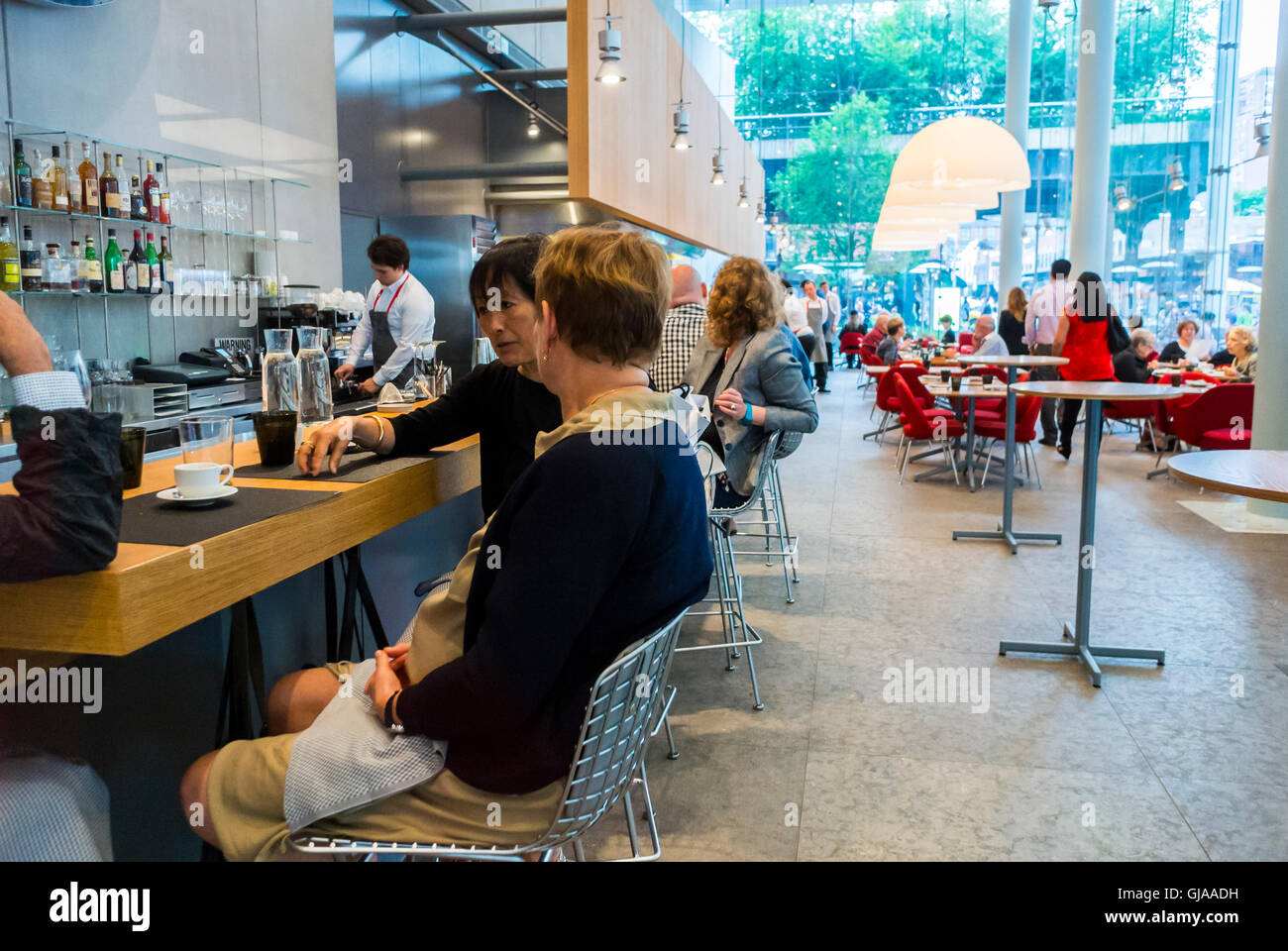 New York City, NY, USA, Group American People Sharing Drinks in Cafe in ...