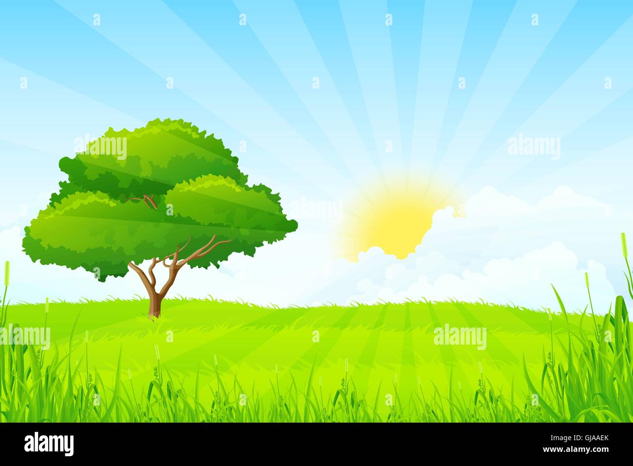 Beautiful landscape clear sky Stock Vector Images - Alamy