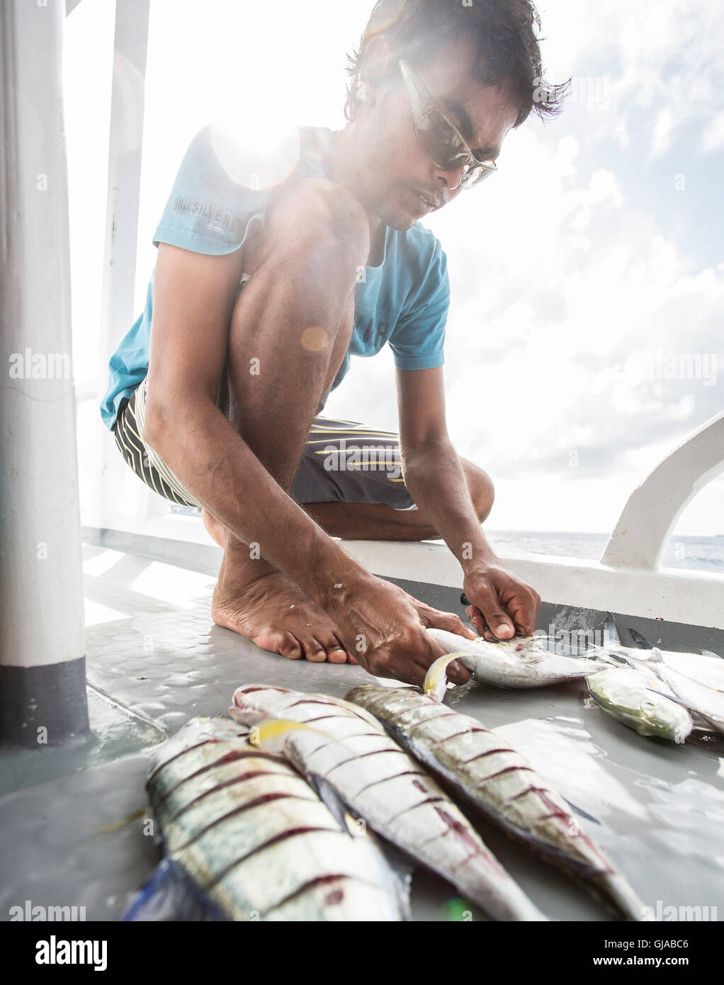 Disemboweling hi-res stock photography and images - Alamy